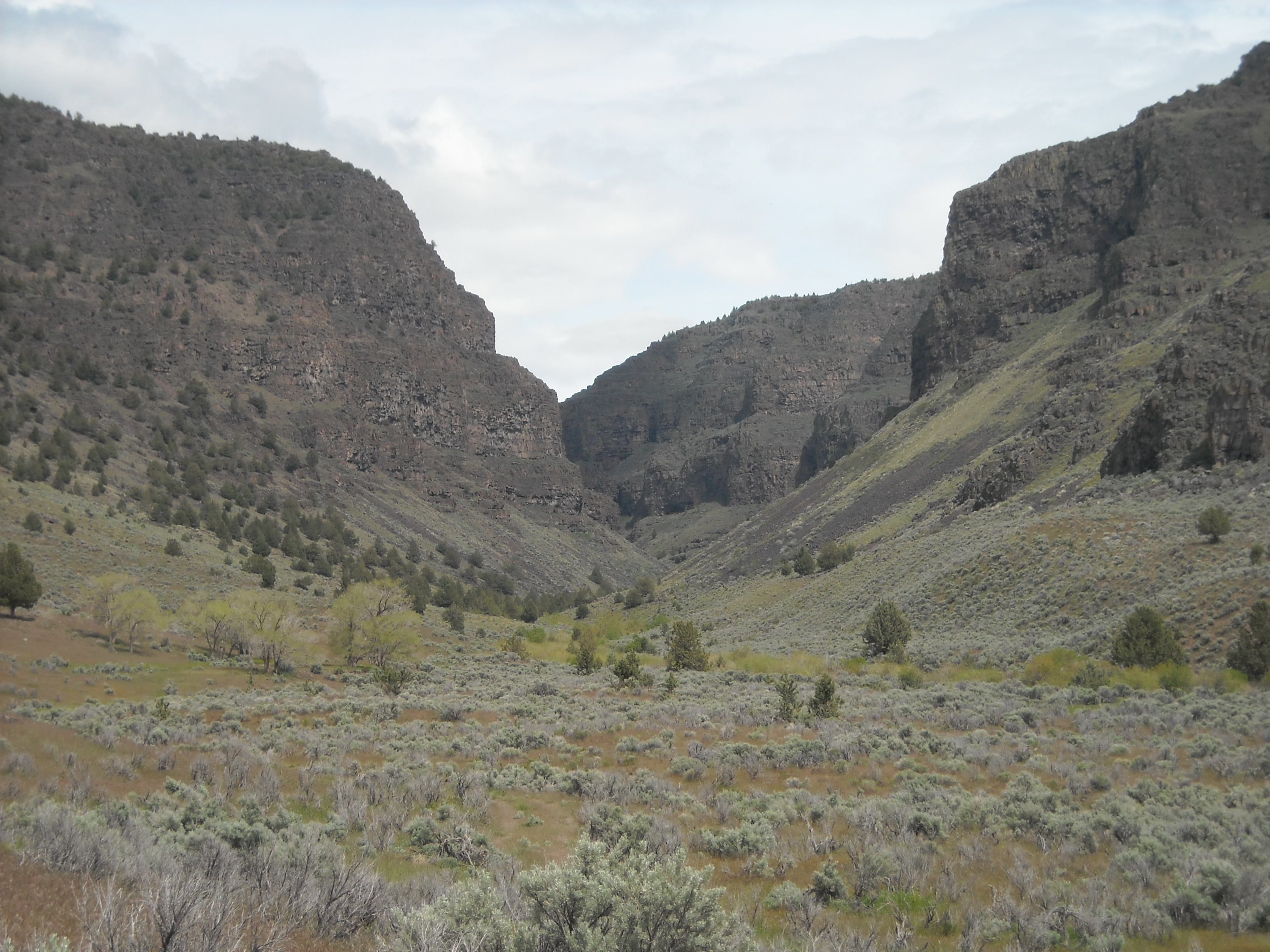 Elijah’s Journey in Oregon – Flourish Catholic